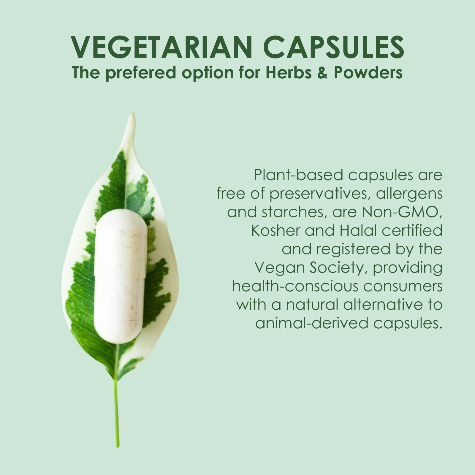 Size 1 Vegetarian Capsules Wholesale Bulk | Capsule Depot